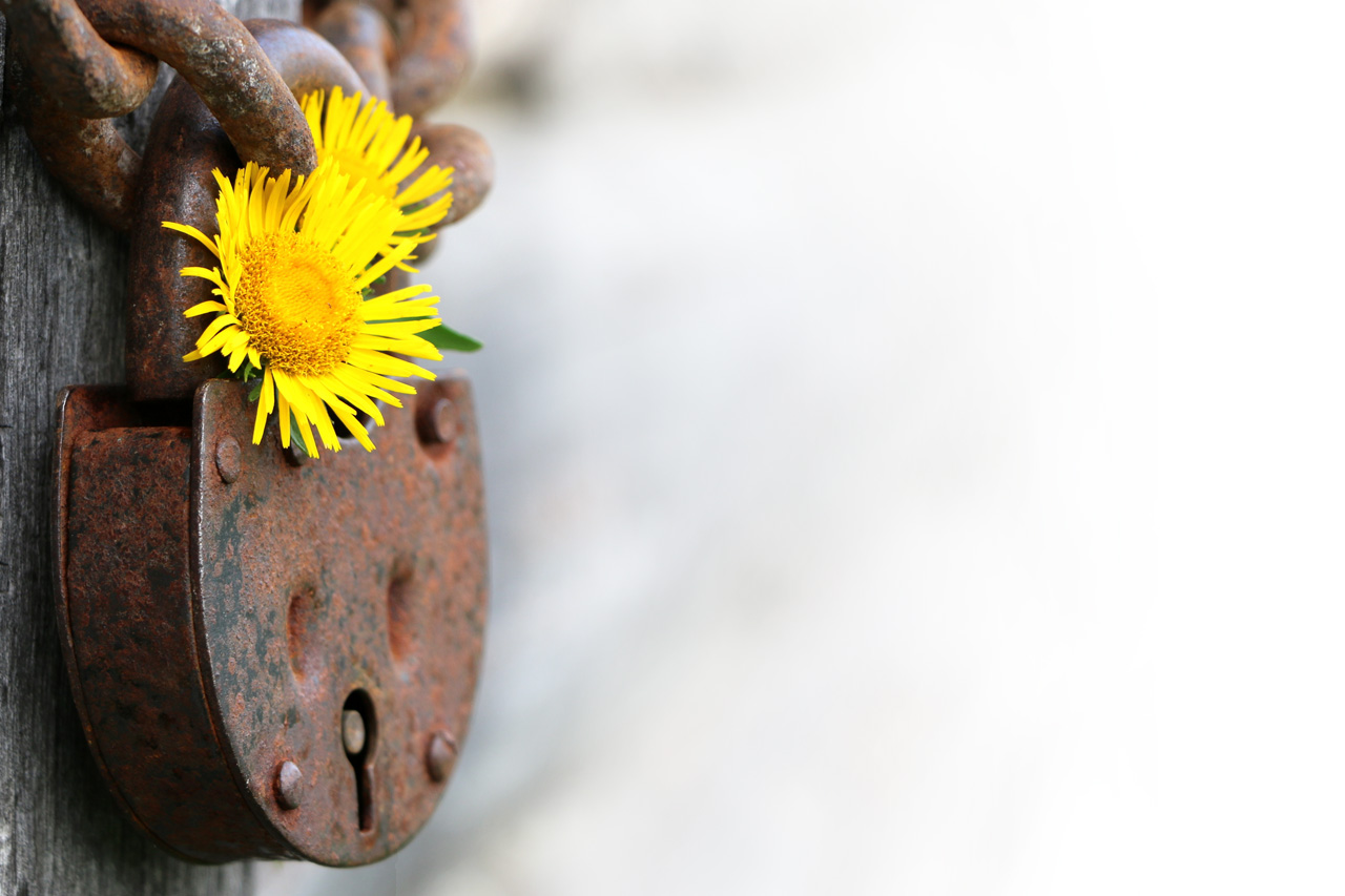 Bonus – Hexalto Coaching